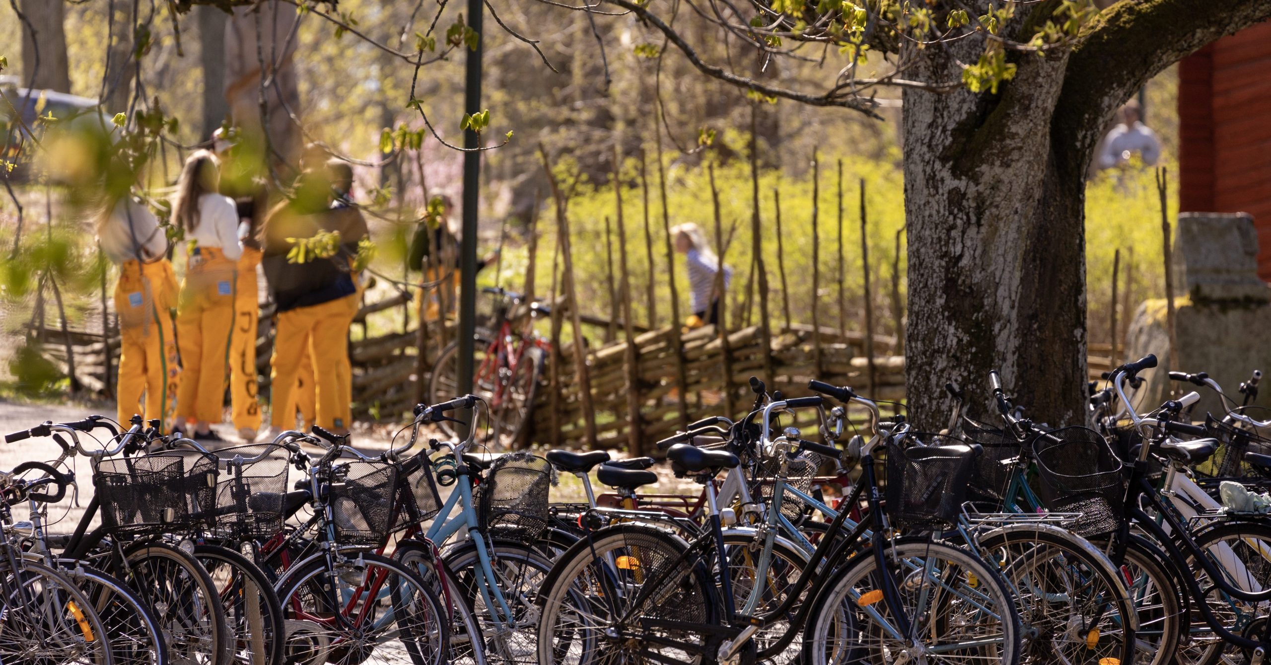 The student's dictionary