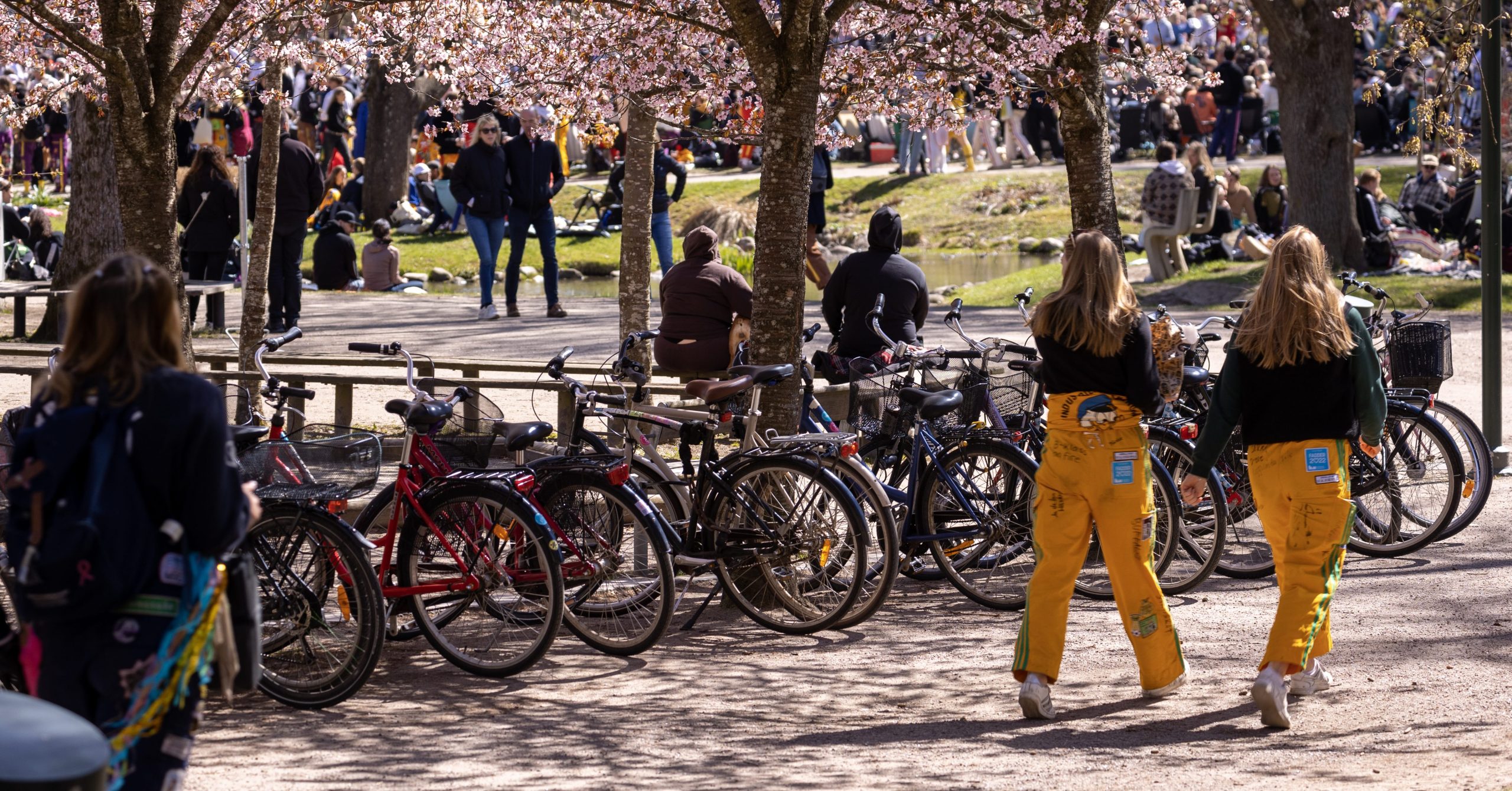 Student in Linköping